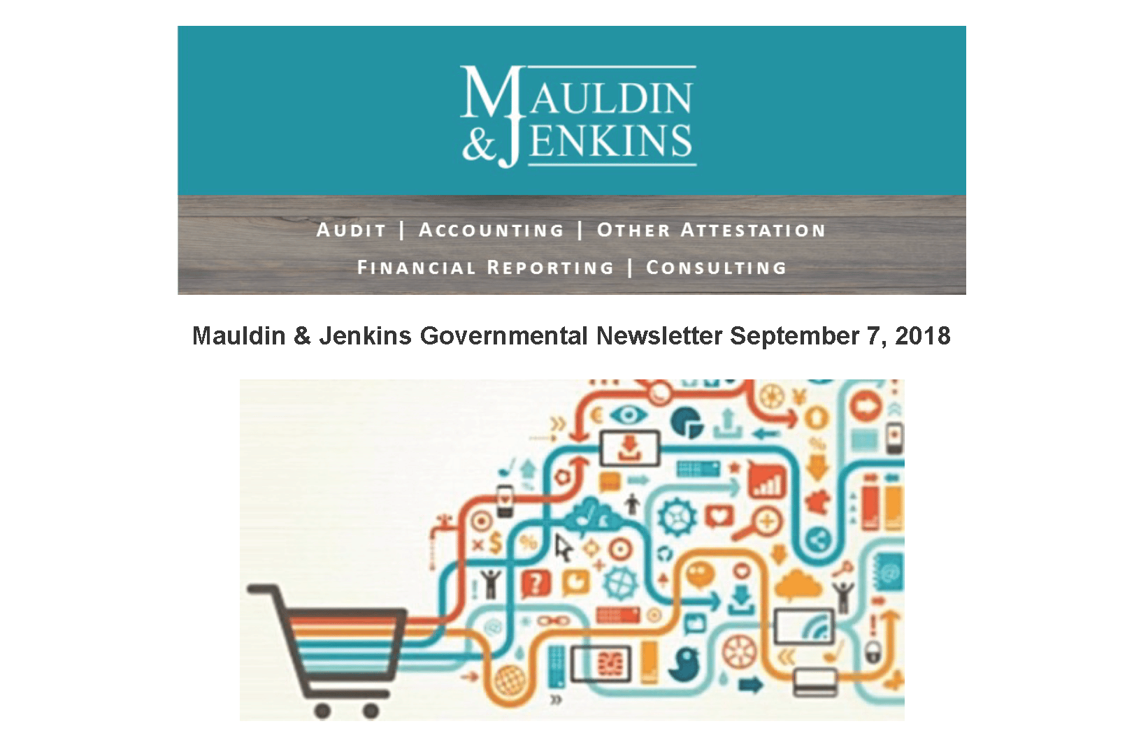 Government Insights - Mauldin & Jenkins